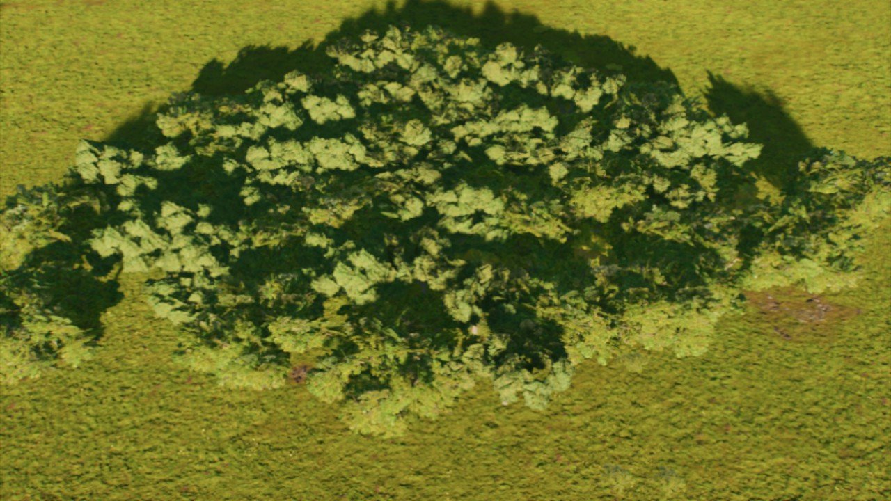 Neotropical Forest Canopy - Workshop - Jurassic World Evolution 3