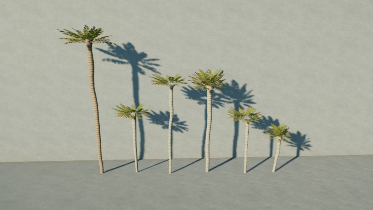 Paleobotany Set 11: Ptilophyllum (Jurassic - Early Cretaceous ...