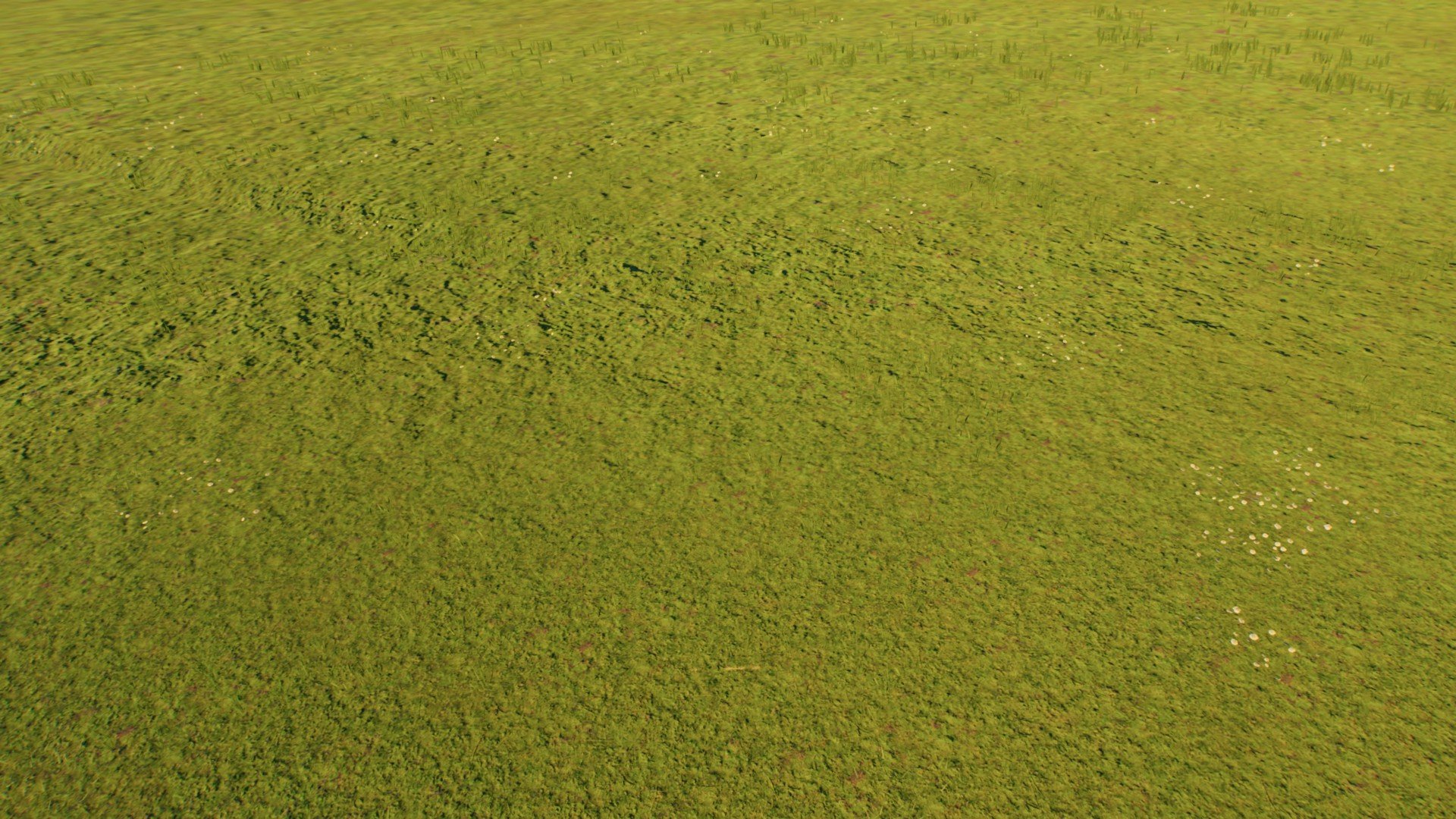 Square with the center marked./Quadrado com meio ja marcado - Workshop ...