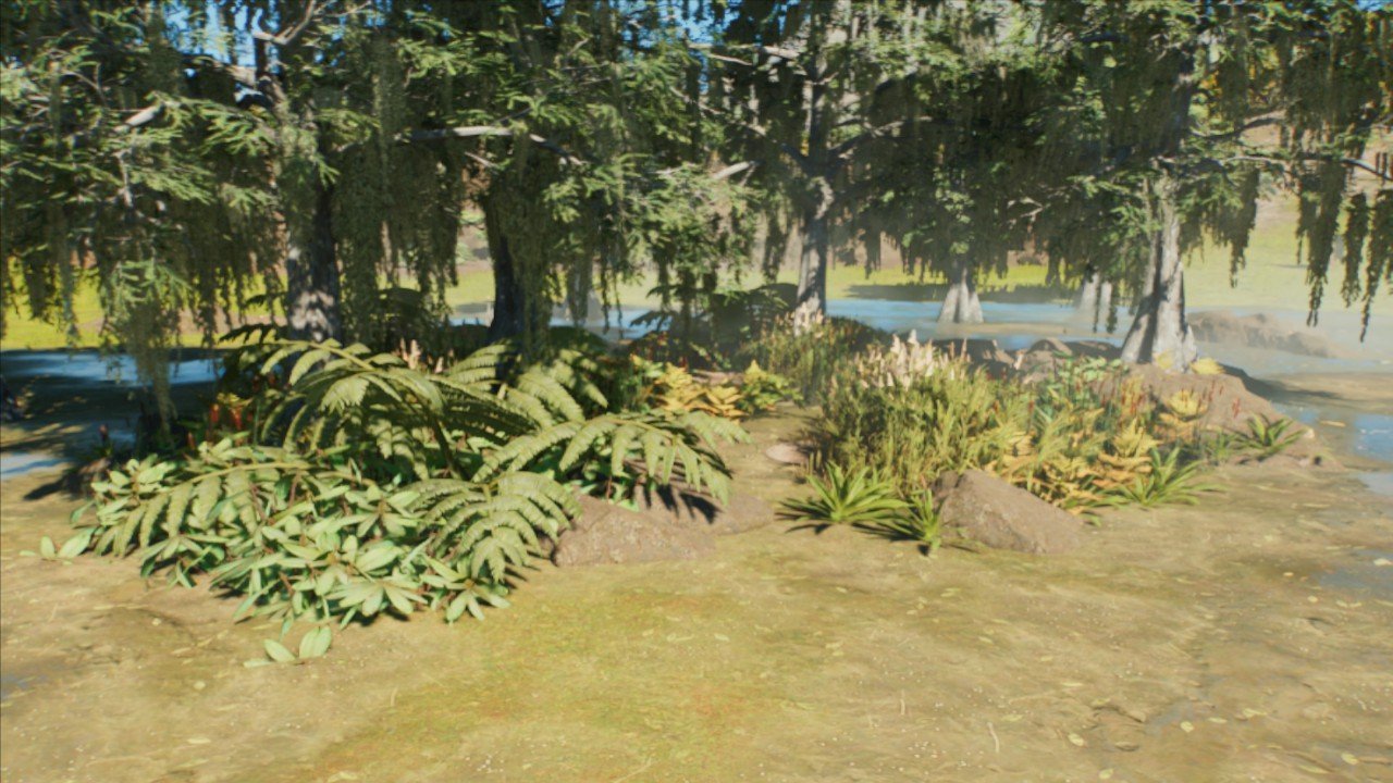 Small Nesting area Cypress Swamp ( Multiple Nests) - Workshop ...