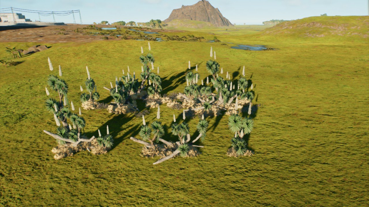 Foliage: Cenozoic Paleobotany - Arborescent Monocot - Workshop ...