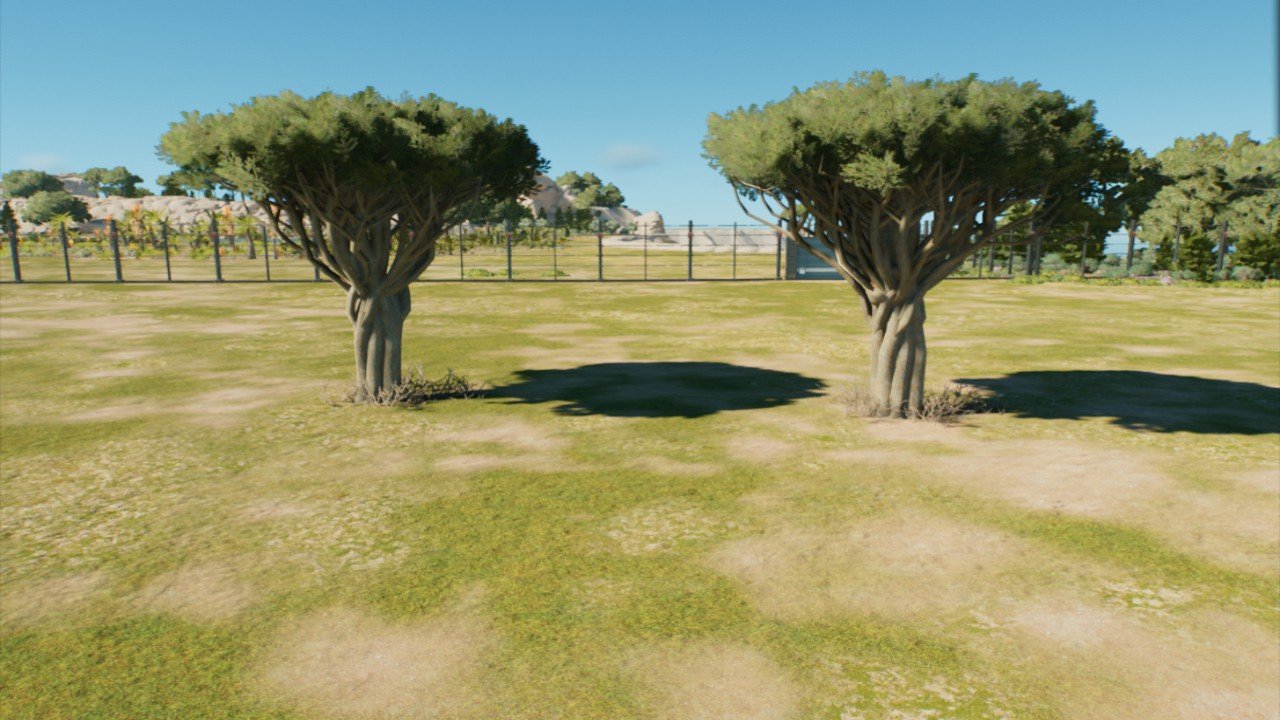 Socotra Dragon Blood Trees (Dracaena cinnabari) - Workshop - Jurassic ...